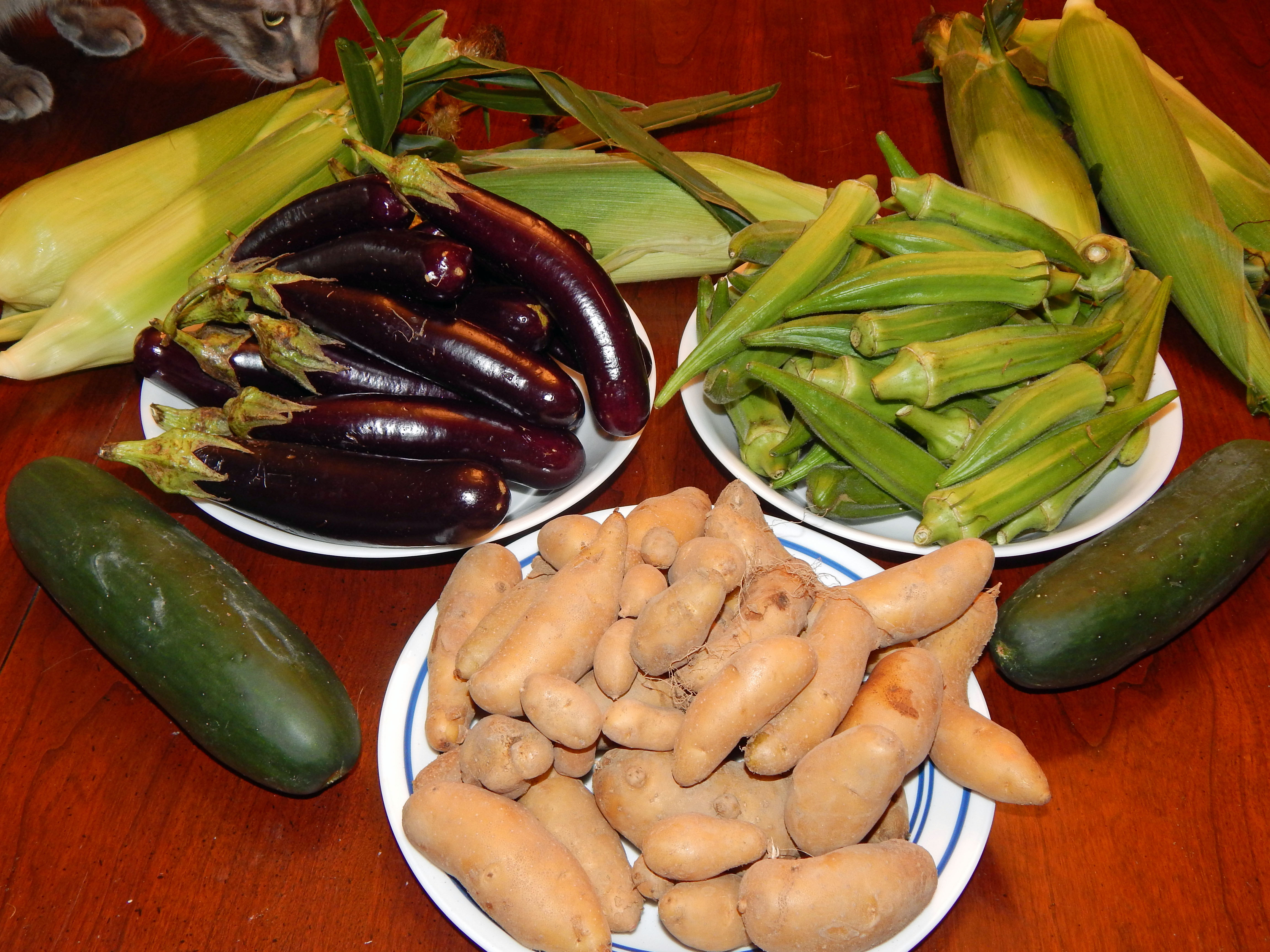 The Produce Box – VegCharlotte