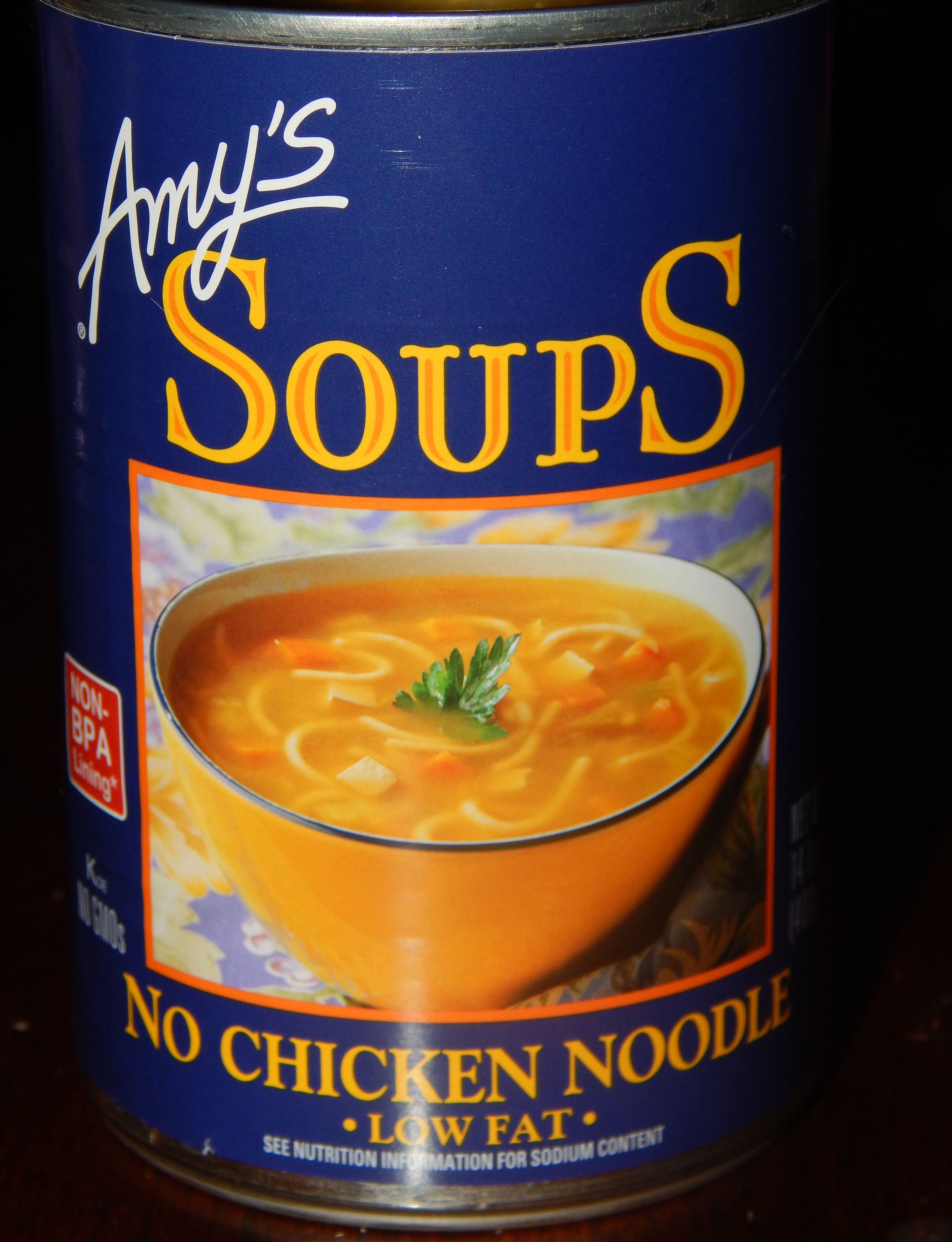 Product Review: Amy’s No-Chicken Noodle Soup – VegCharlotte